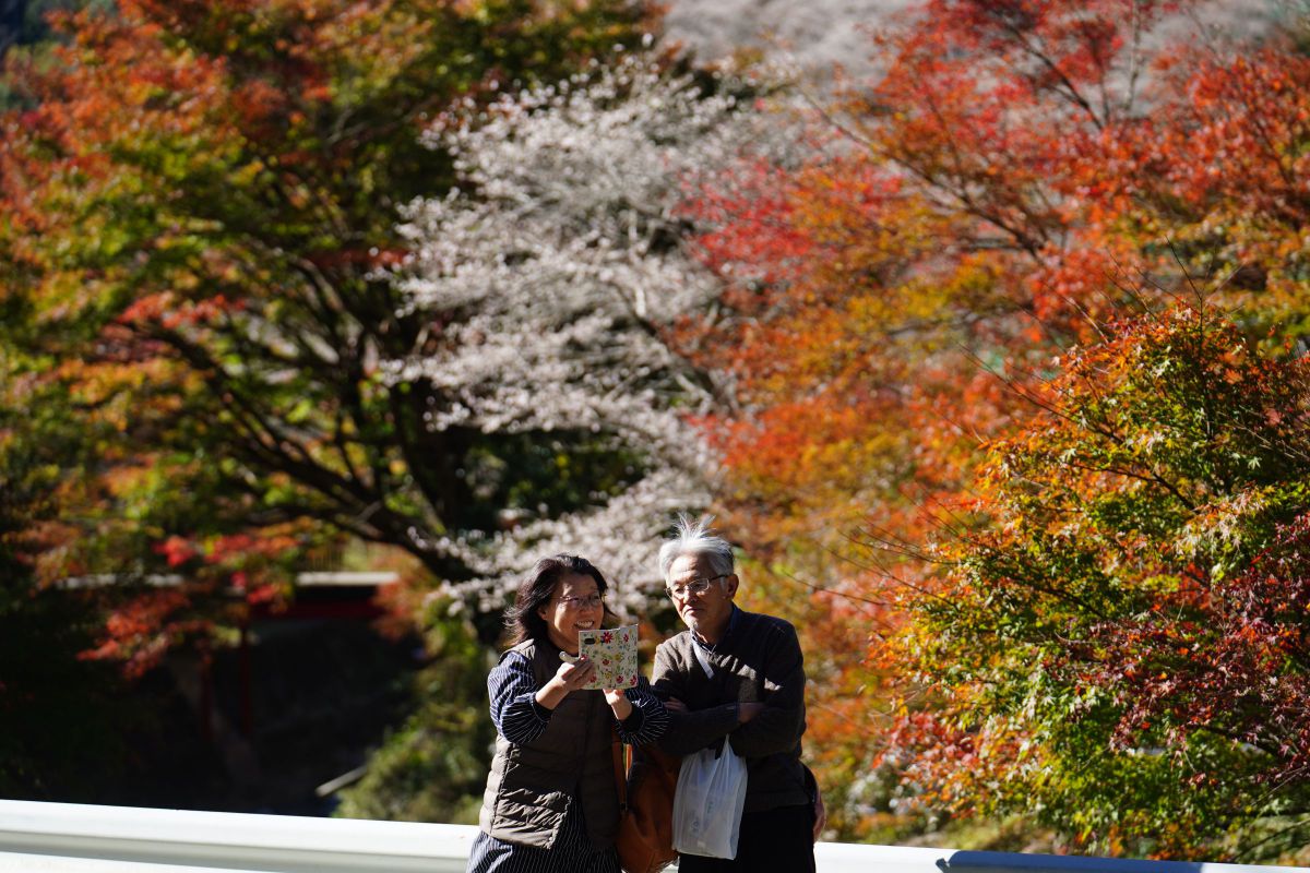 夫婦善哉 | GANREF