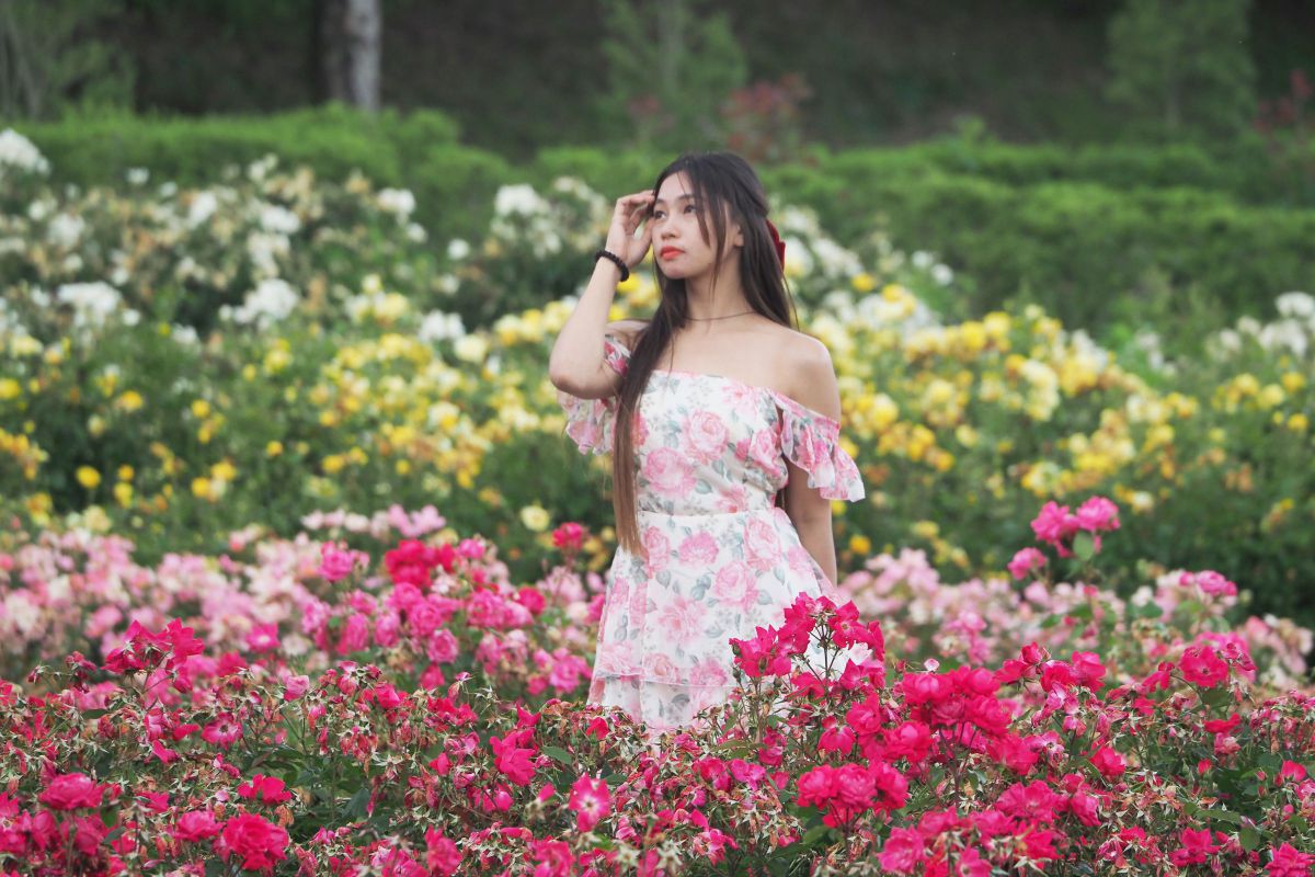 見返り美人 | GANREF