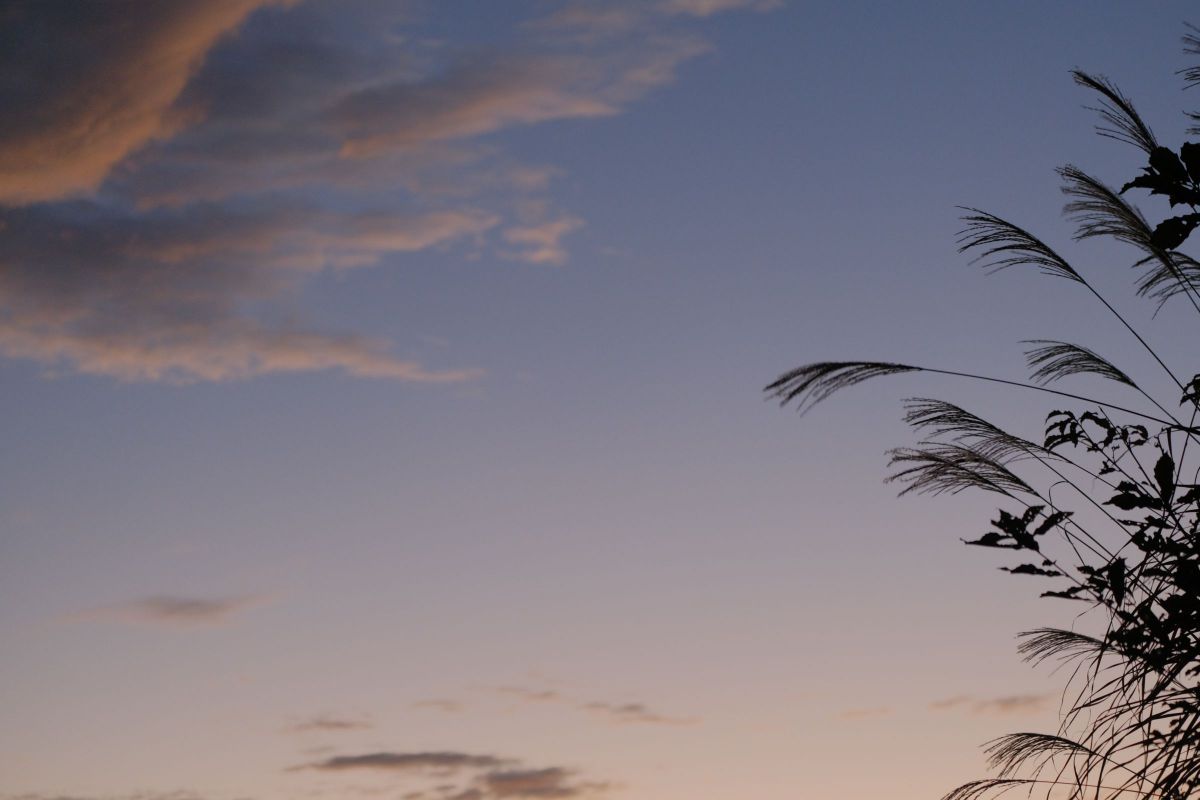 逢魔が時 | GANREF