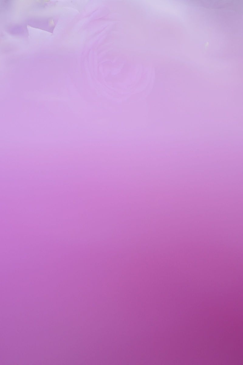 lavender show | GANREF