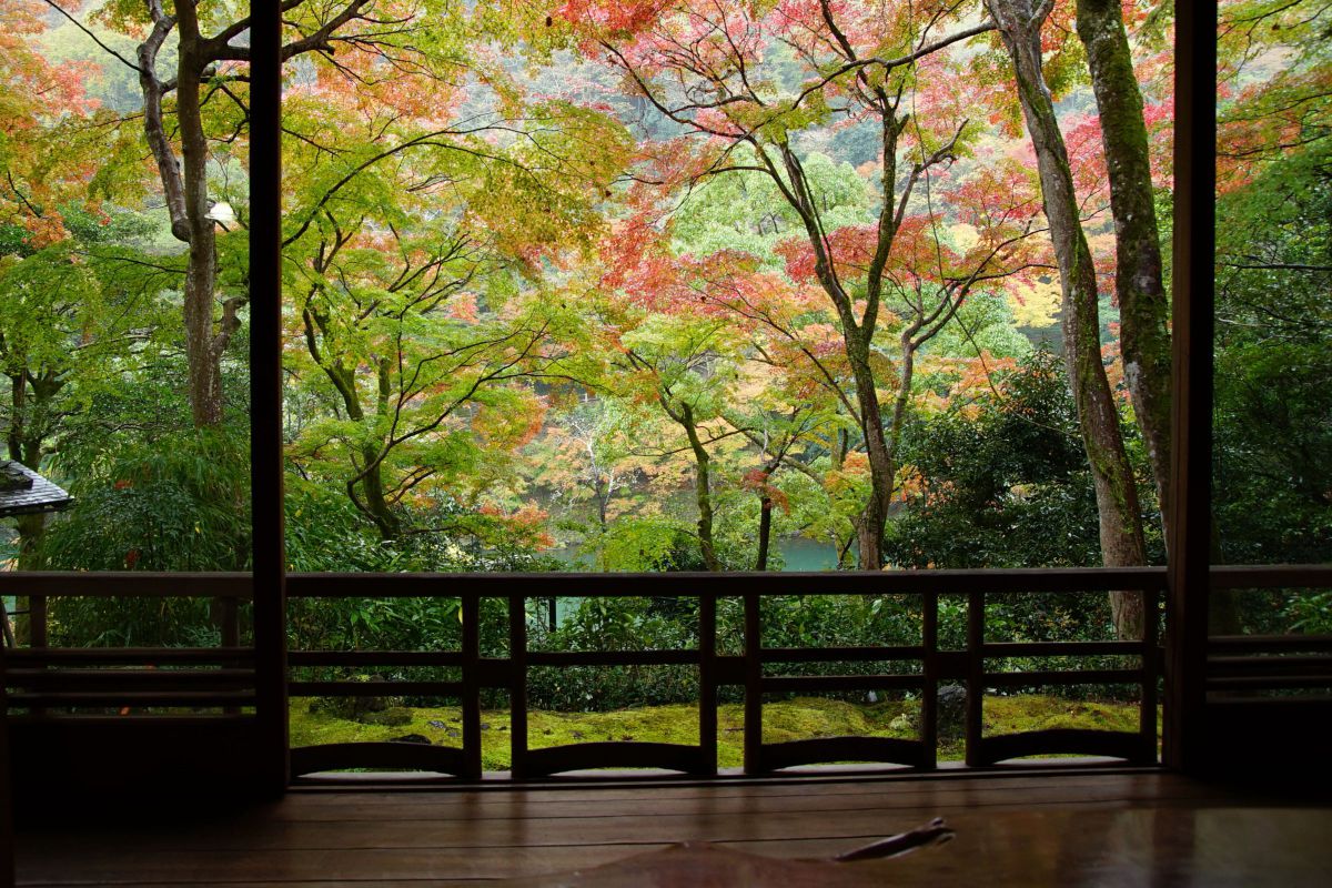 染まり初めて | GANREF