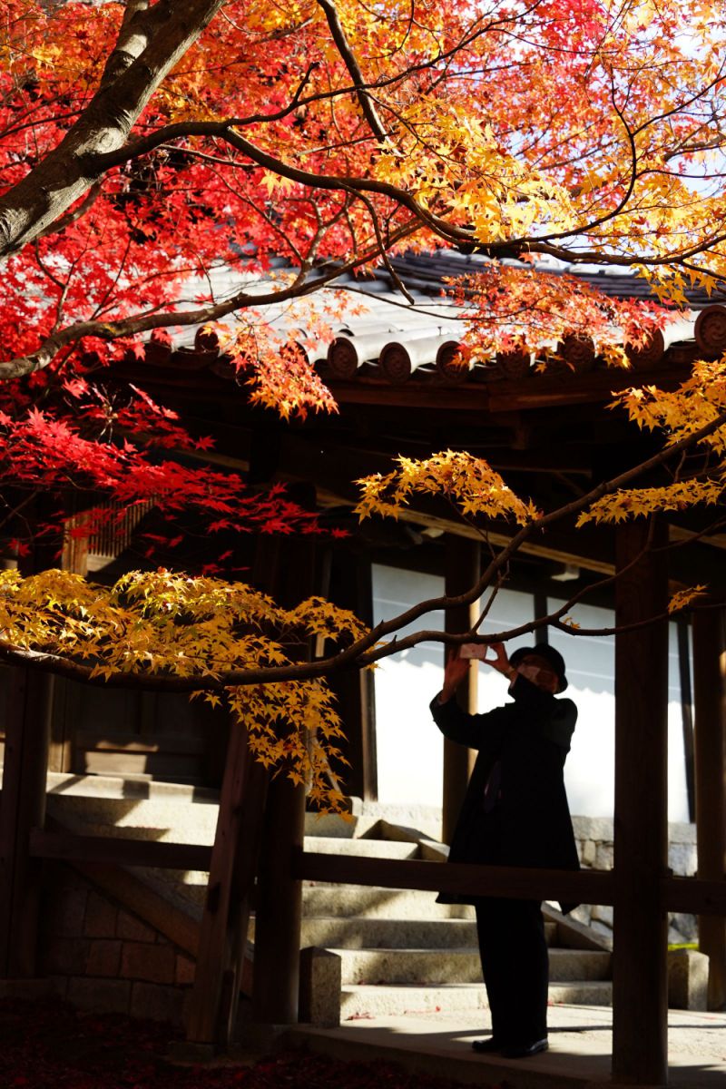 参道にて | GANREF