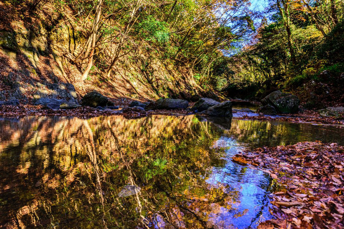 秋の輝き | GANREF