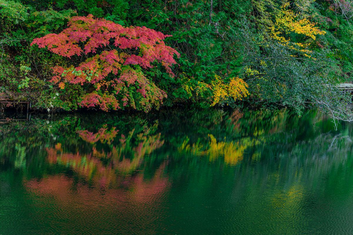 そろそろ終焉？ | GANREF