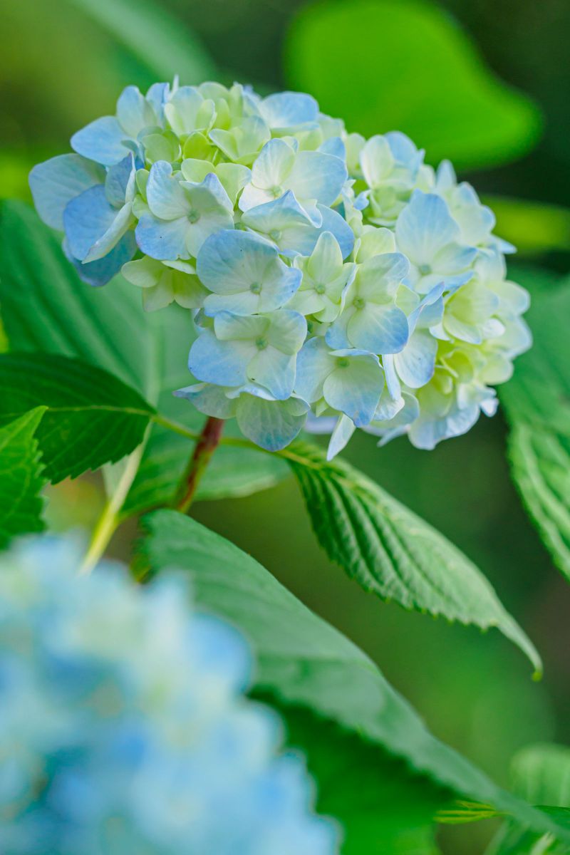 陽射しをよけて | GANREF