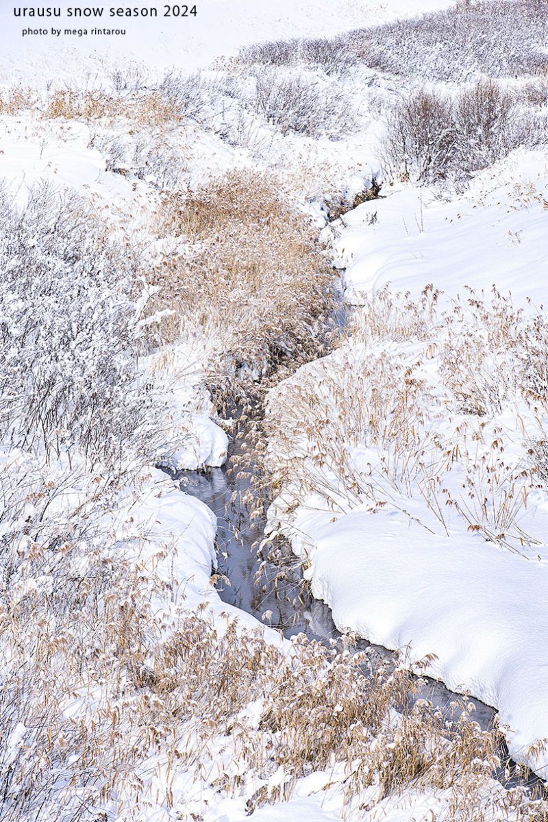 冬の浦臼内川 2024 | GANREF