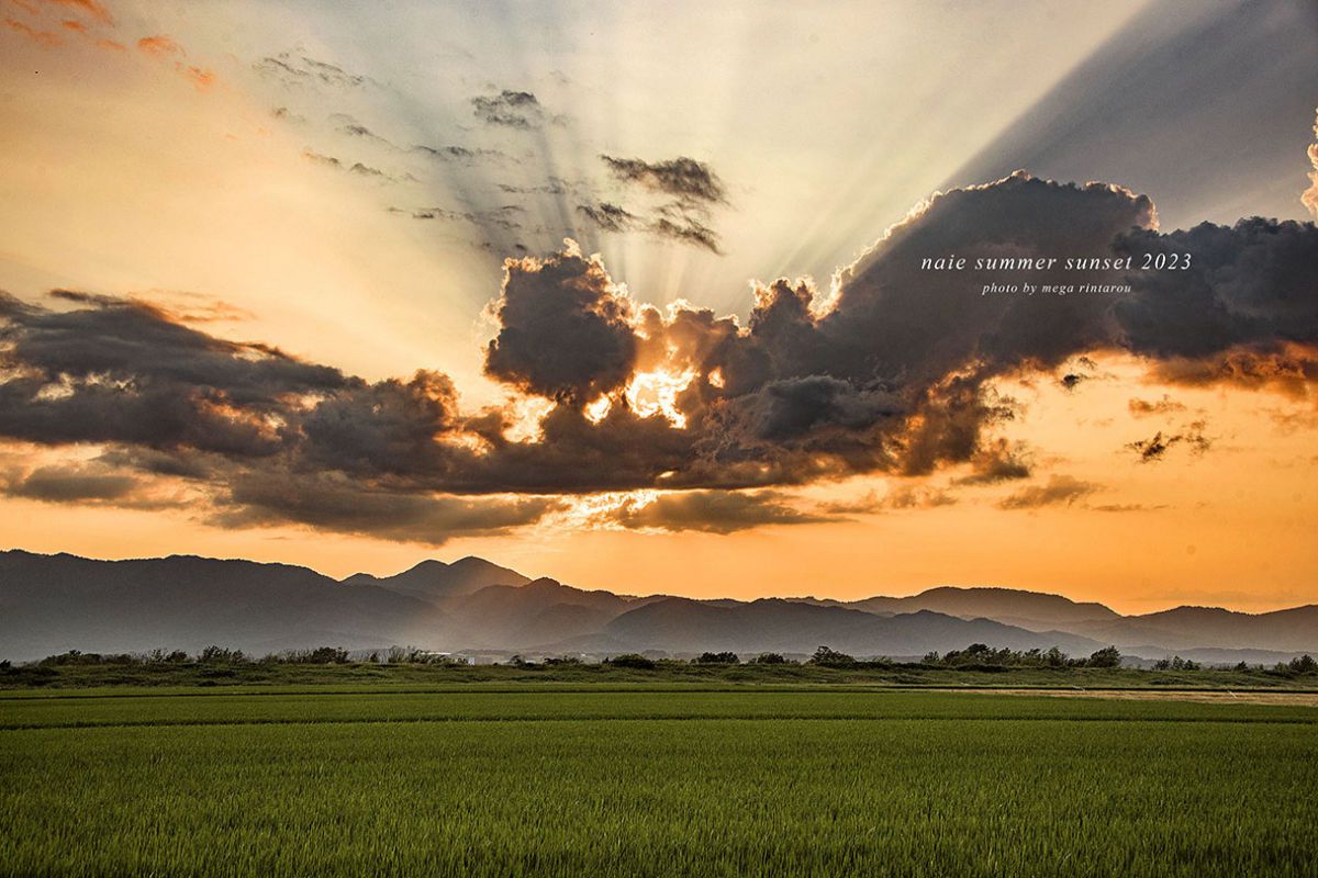 奈井江町・夏田んぼの夕景2023 | GANREF