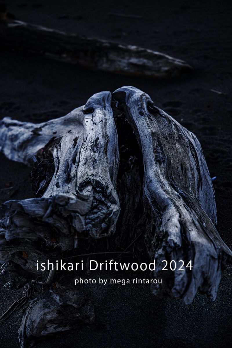 「石狩市・流木2024」 | GANREF