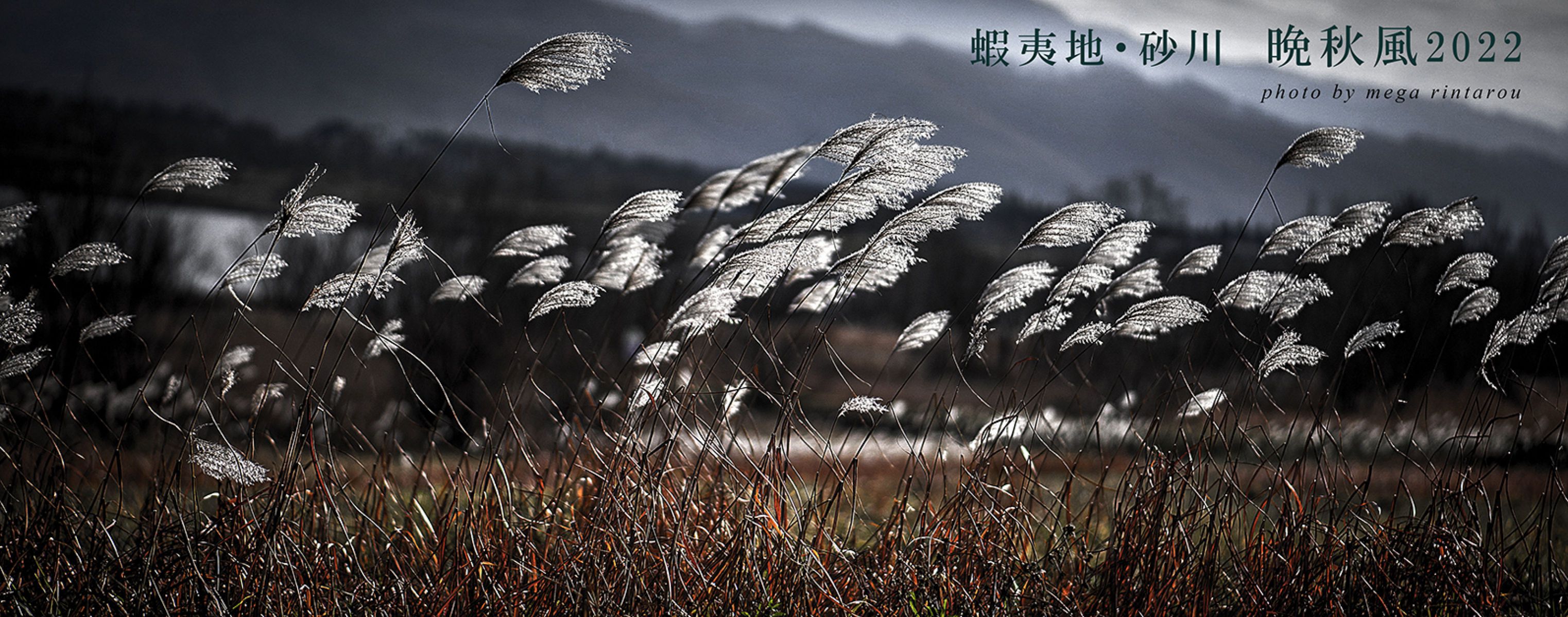 蝦夷地 砂川 晩秋風2022 | GANREF