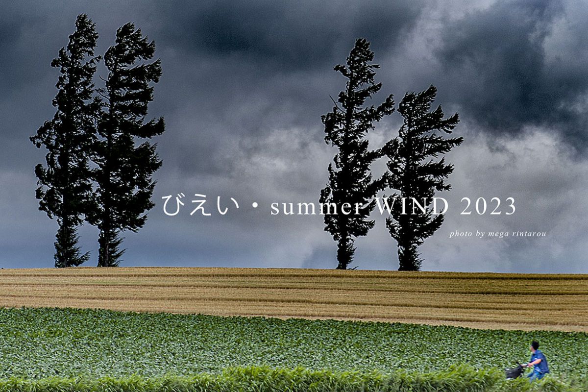 美瑛風 チャリンコとマイルドセブンの丘2023 | GANREF