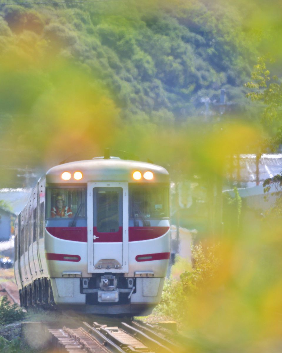 はまかぜ1号 | GANREF