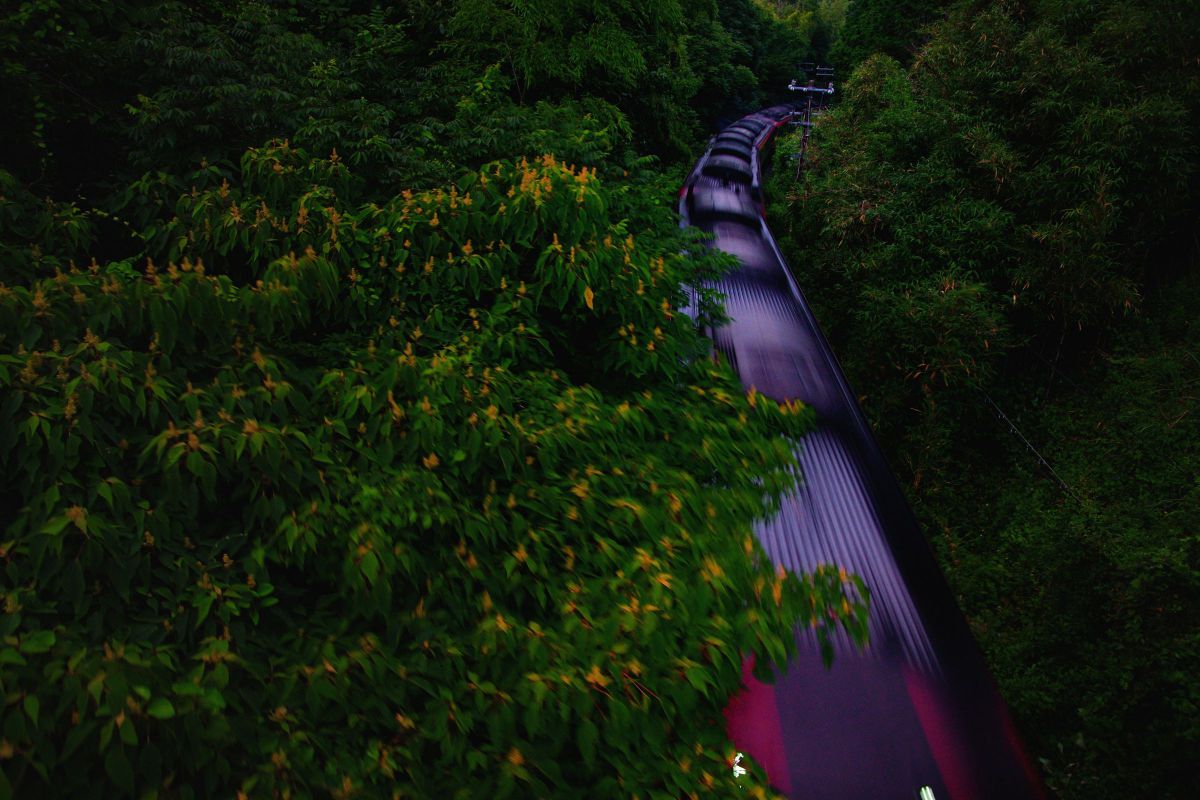 吹き抜ける風 | GANREF