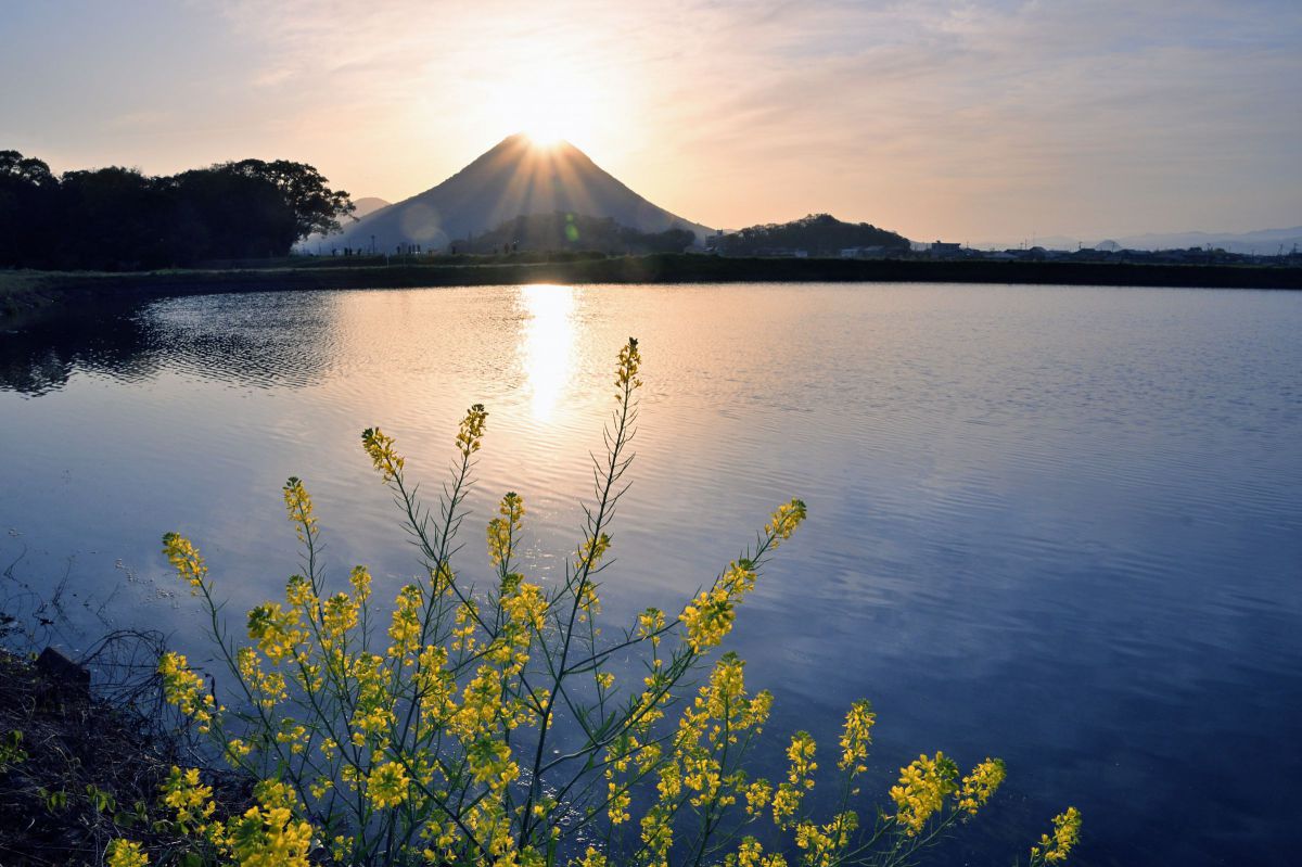 春の中原池 | GANREF