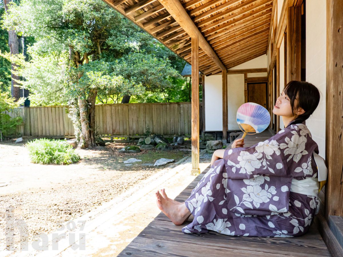 縁側に残した、帰らない夏 | GANREF