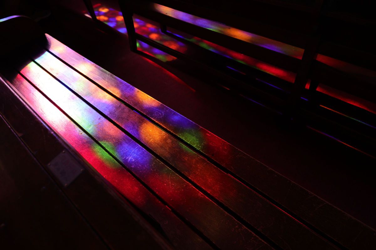 colorful shadow | GANREF