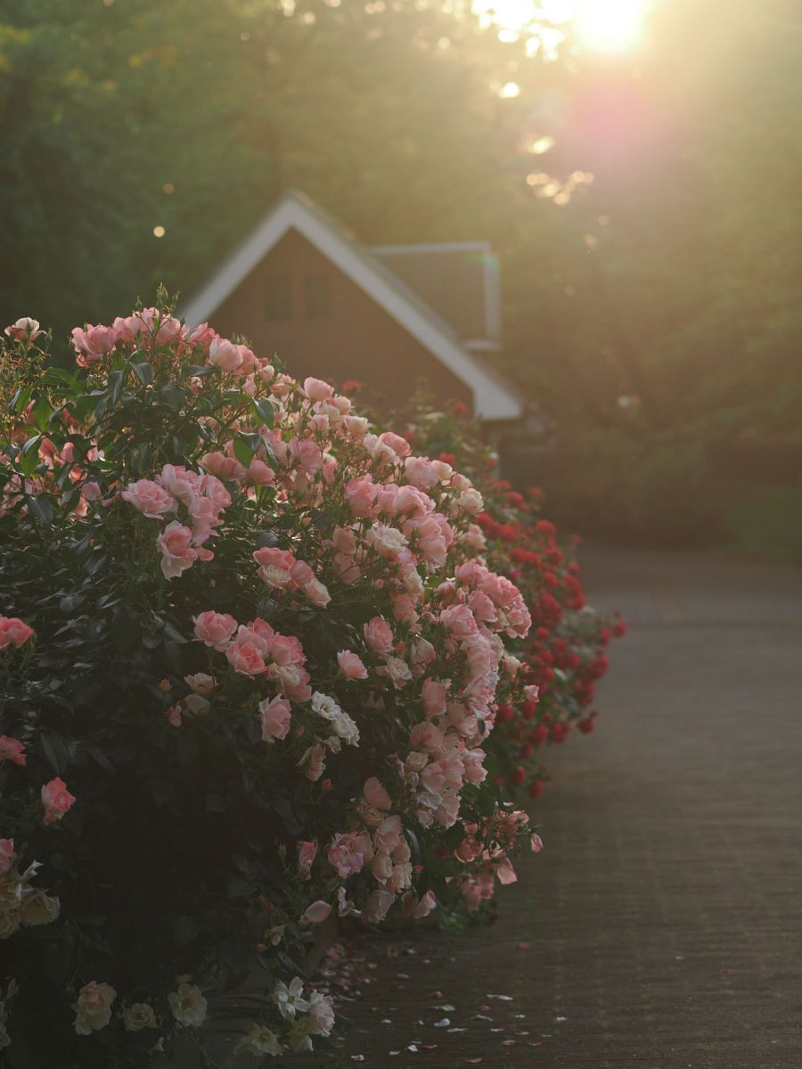 Spring flourishes | GANREF