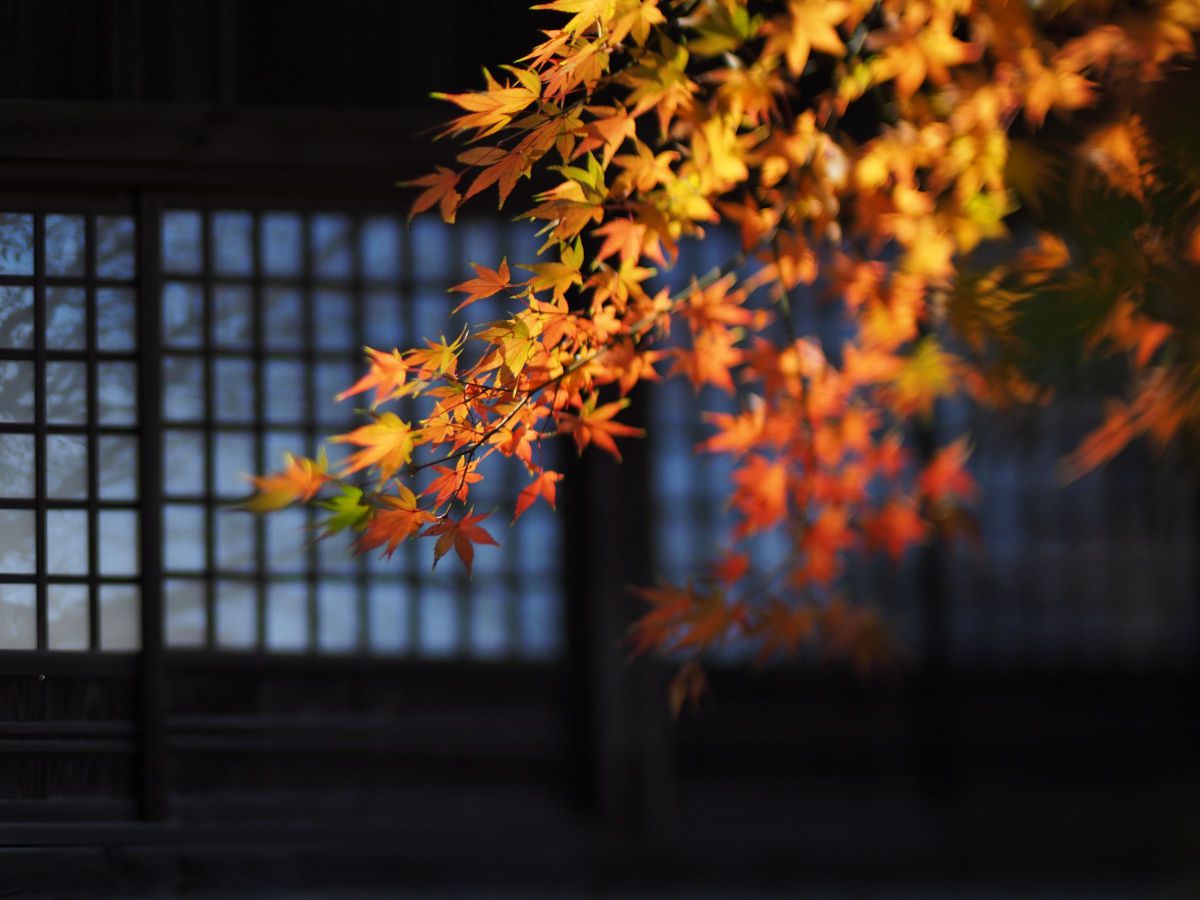 幻想風景_18 | GANREF