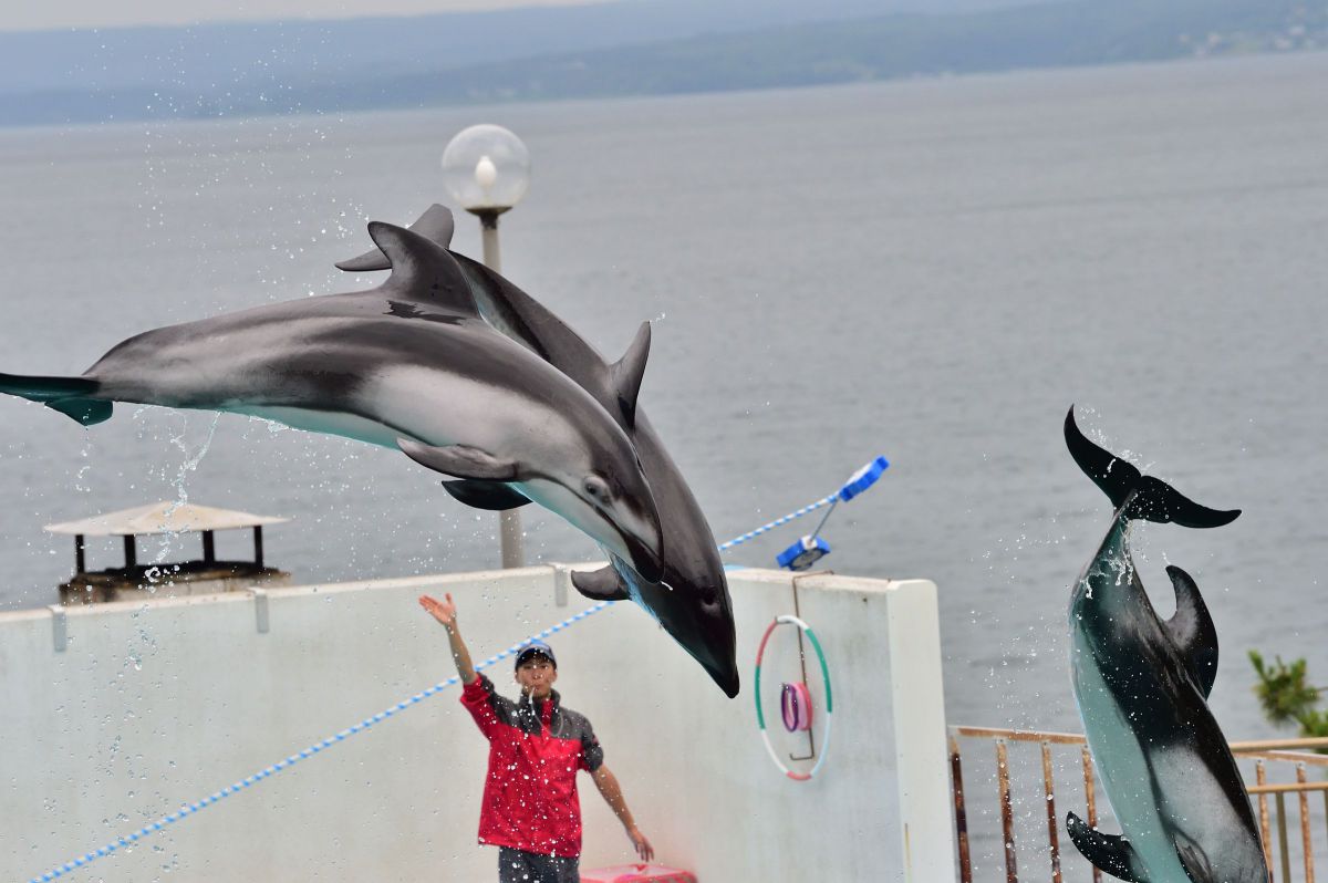 Synchronized | GANREF