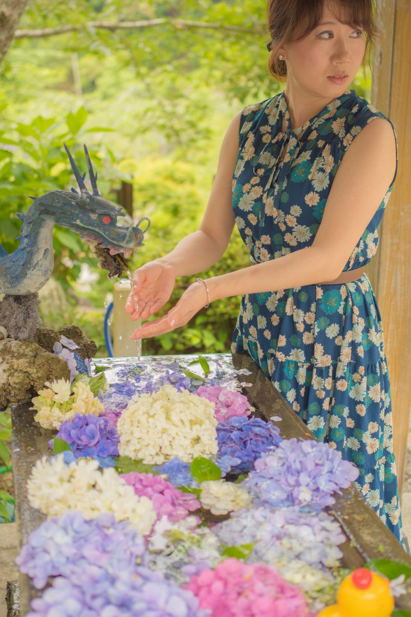 あじさい寺の花手水 | GANREF