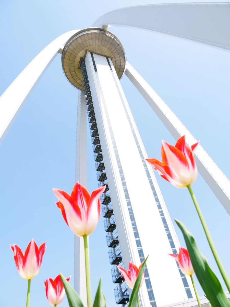 138タワー映える！ | GANREF