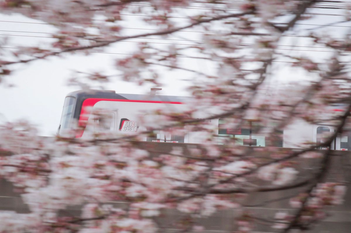 流し撮り | GANREF