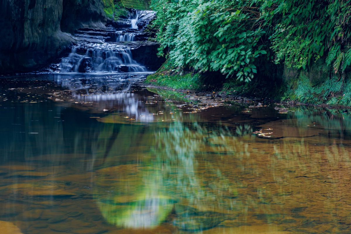 明鏡止水 | GANREF