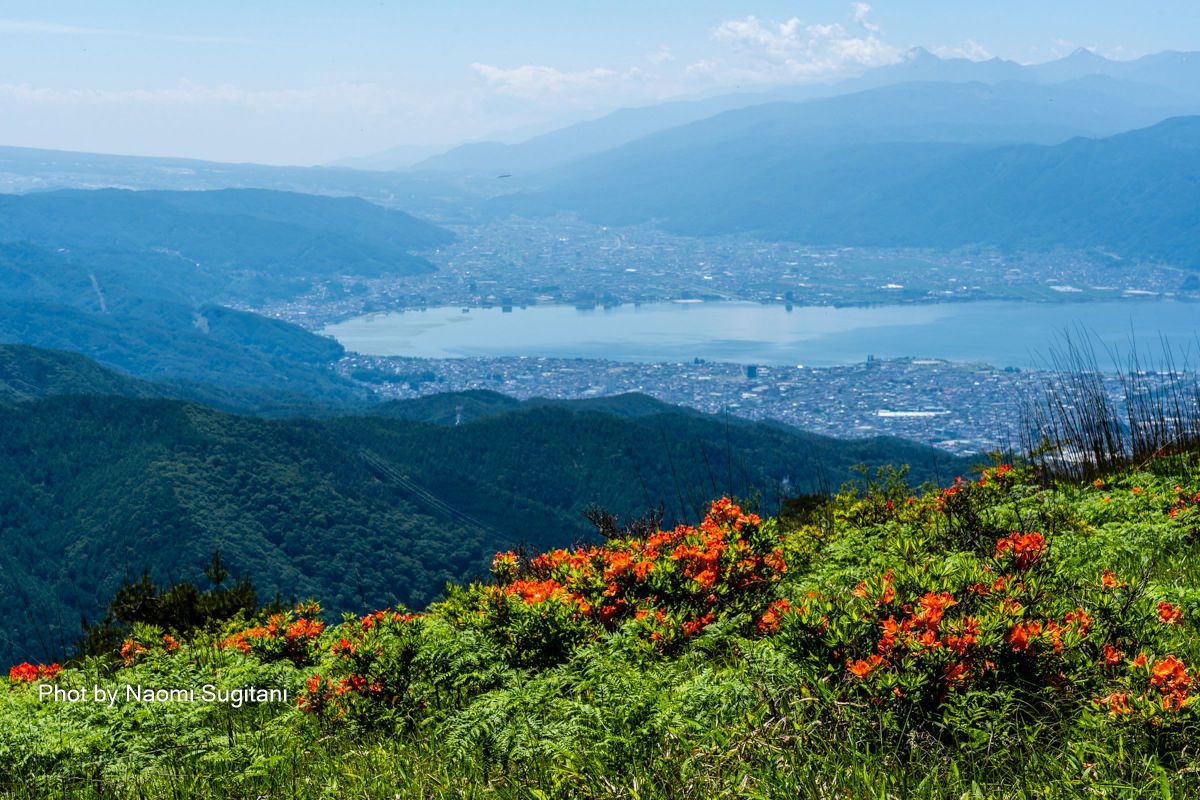 爽やかな風景 2025/6 | GANREF