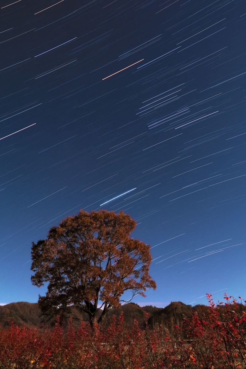 キヤノン PowerShot G7 X レビュー4 〜本気で星空撮ってみる編〜 | GANREF