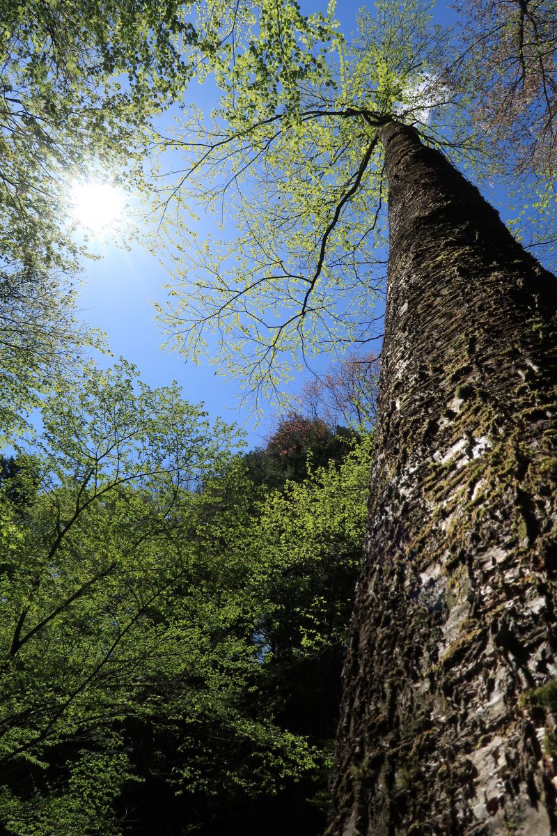 G7X MarkIIで旅する 〜Part1〜 | GANREF