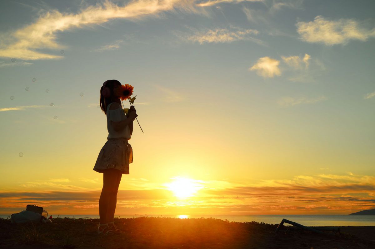 向日葵娘 | GANREF