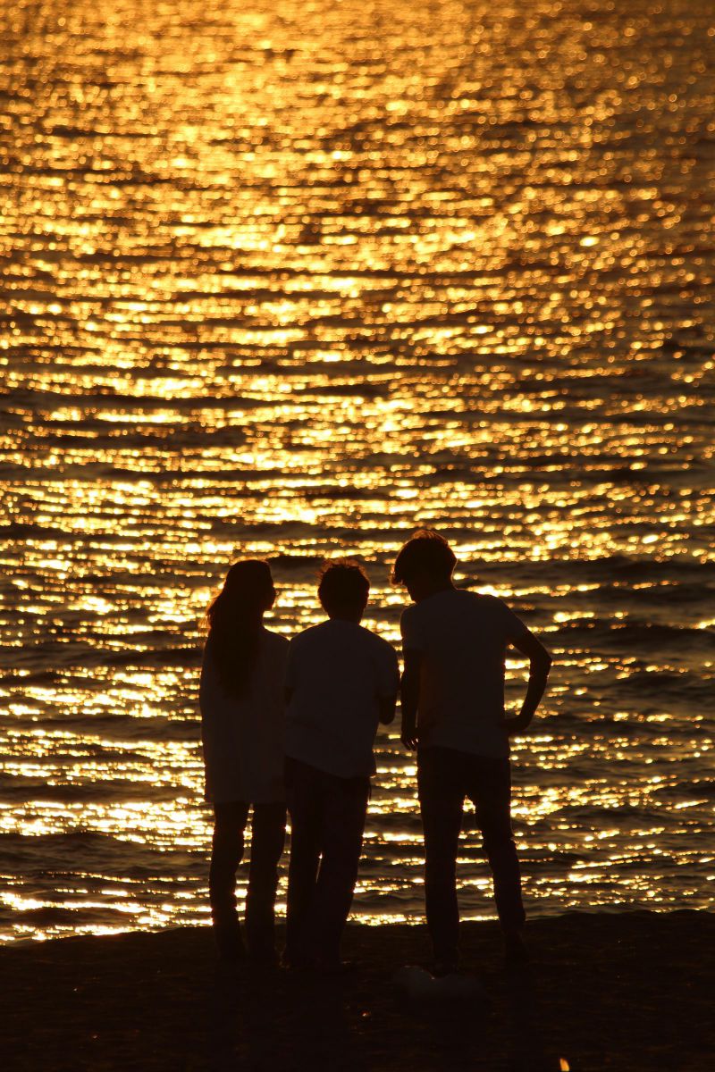 玉ボケの煌めき | GANREF