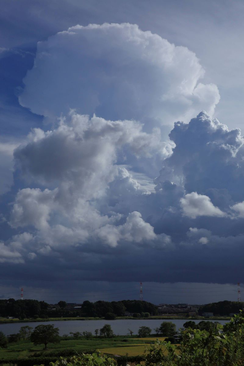 対岸は雨 2023.08.22 | GANREF
