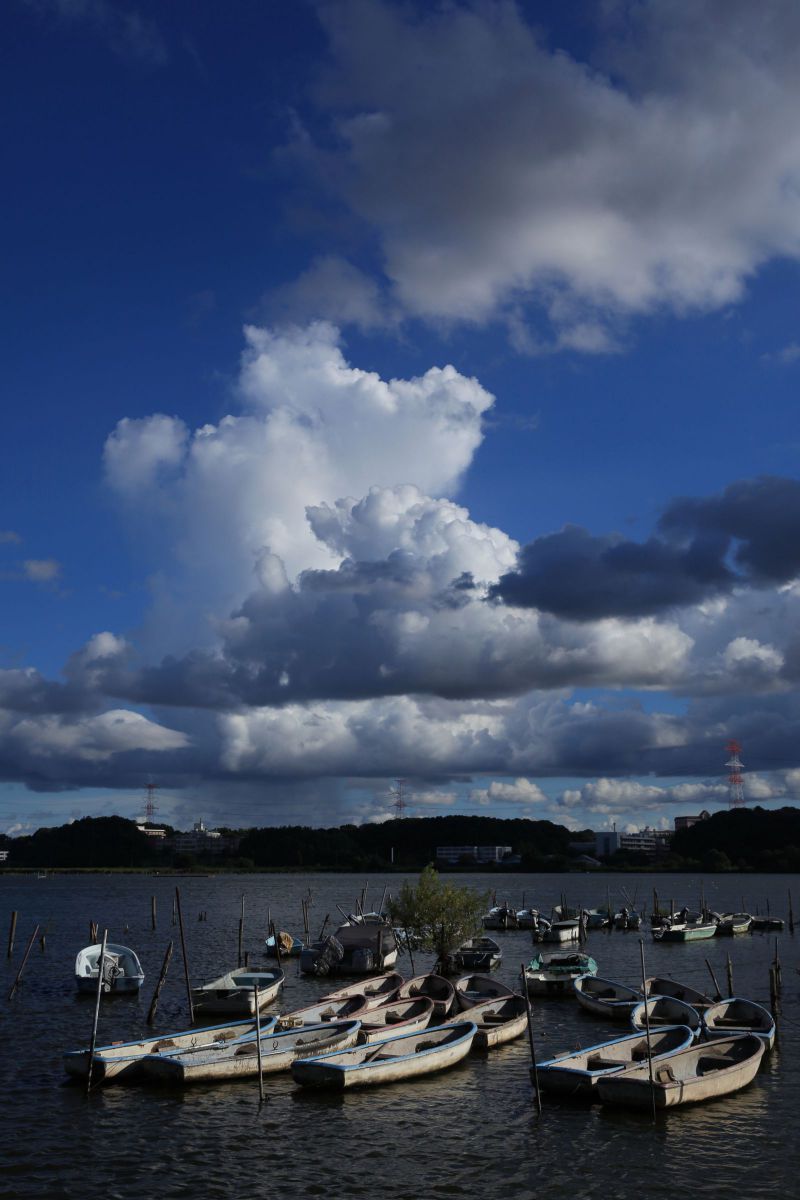 手賀沼晩夏 2023.08.26 | GANREF