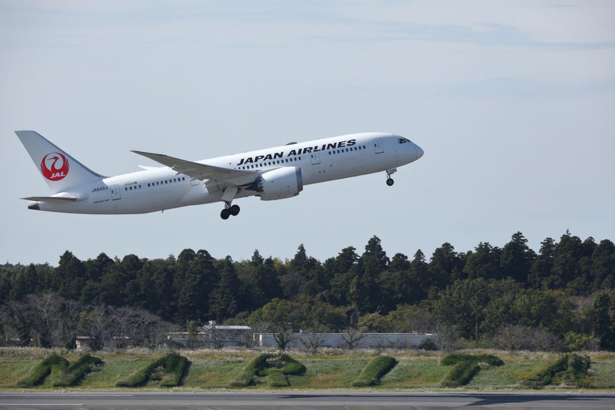 JAL Boeing787 DreamLiner | GANREF