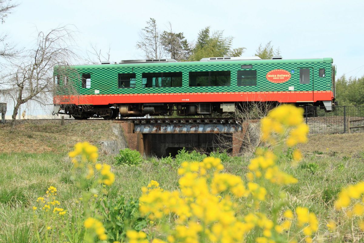 真岡鐵道 2015.03.28 | GANREF