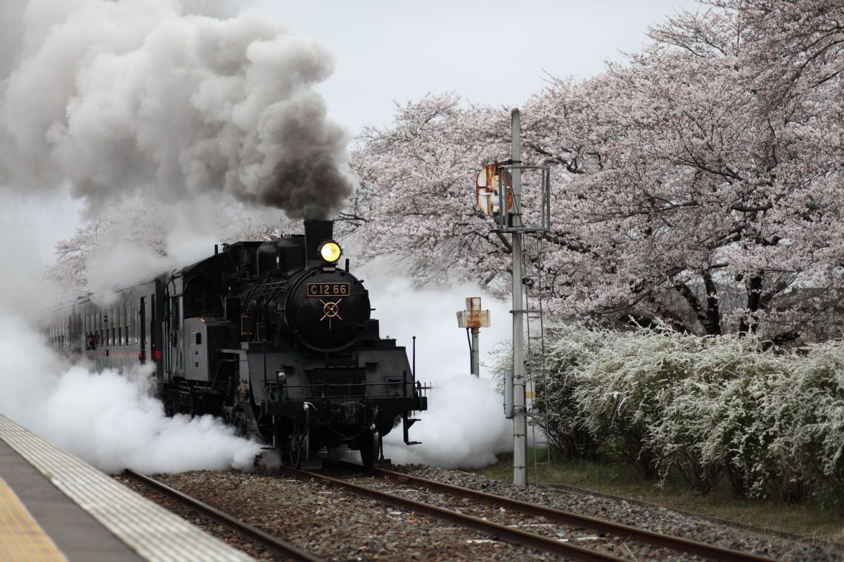 桜と真岡鐡道SL 2013.03.30 | GANREF