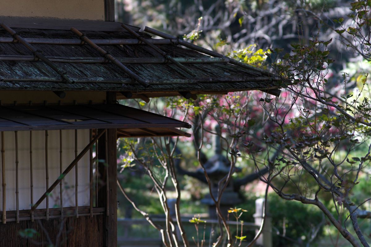 三溪園 晩秋 18 | GANREF