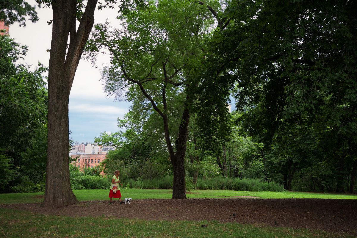 Central Park 04 | GANREF