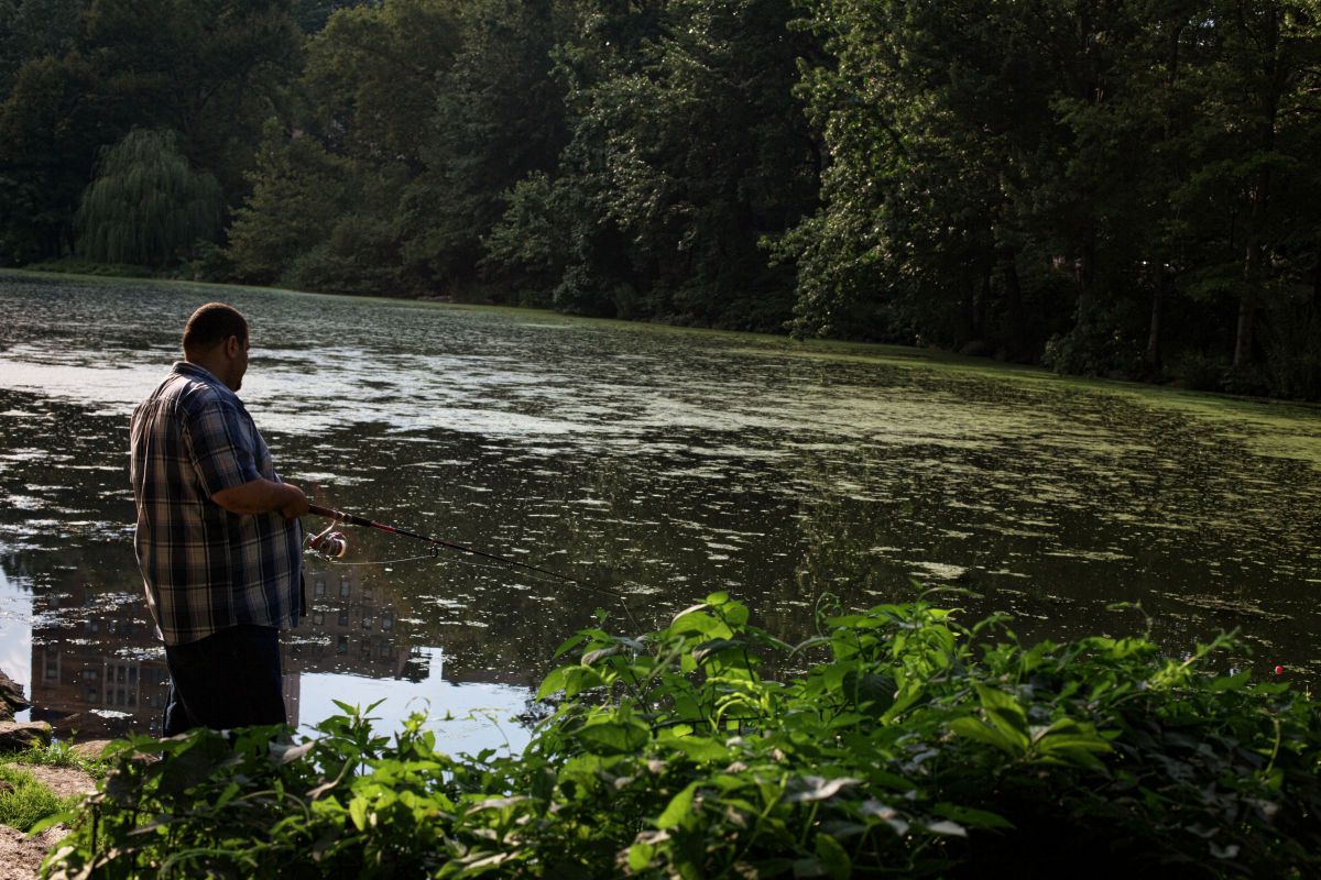 The Pool 03 | GANREF