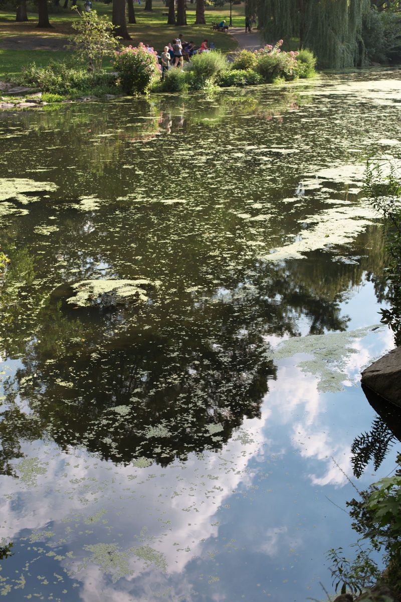 The Pool 02 | GANREF