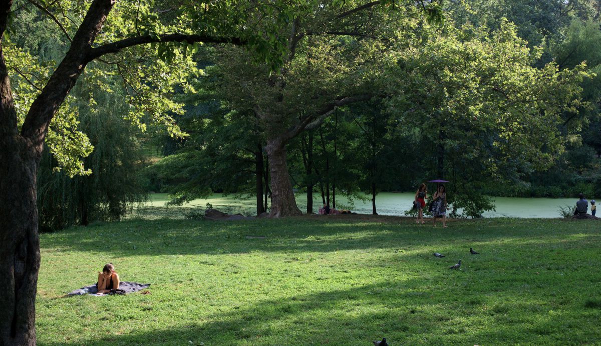 Central Park 11 | GANREF