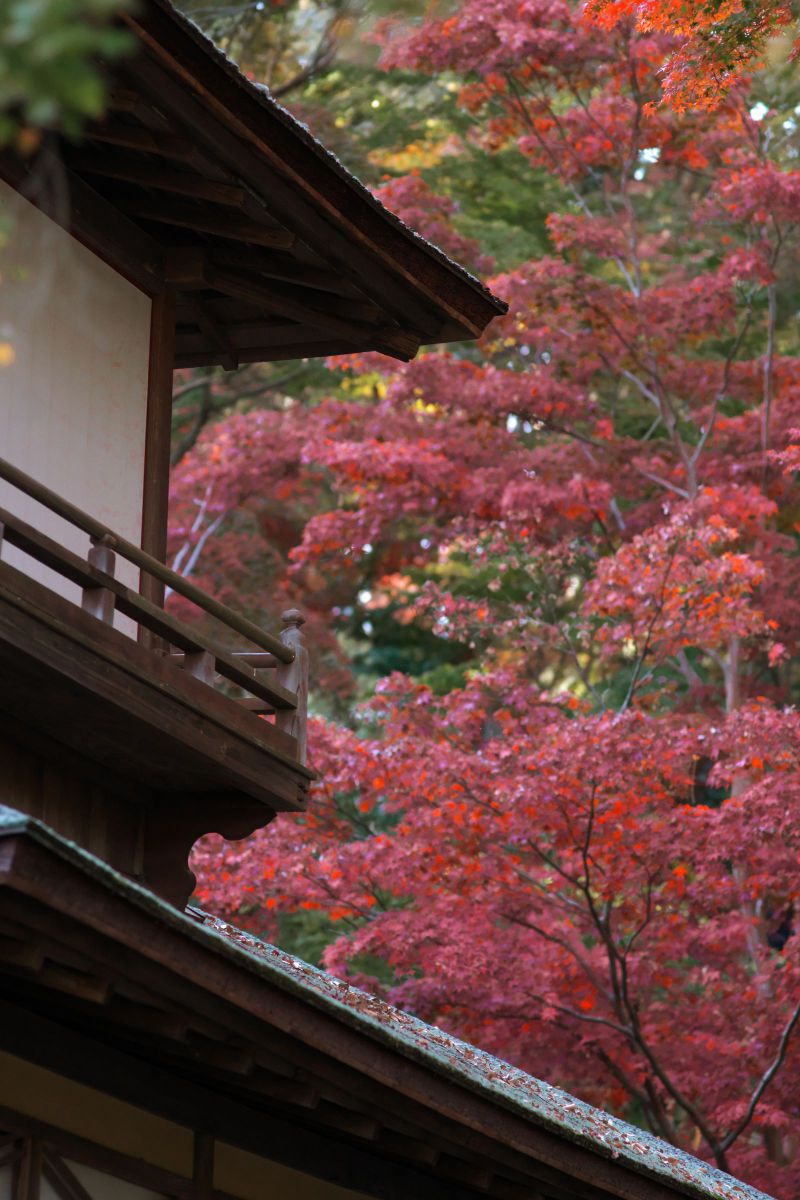 聴秋閣 V | GANREF