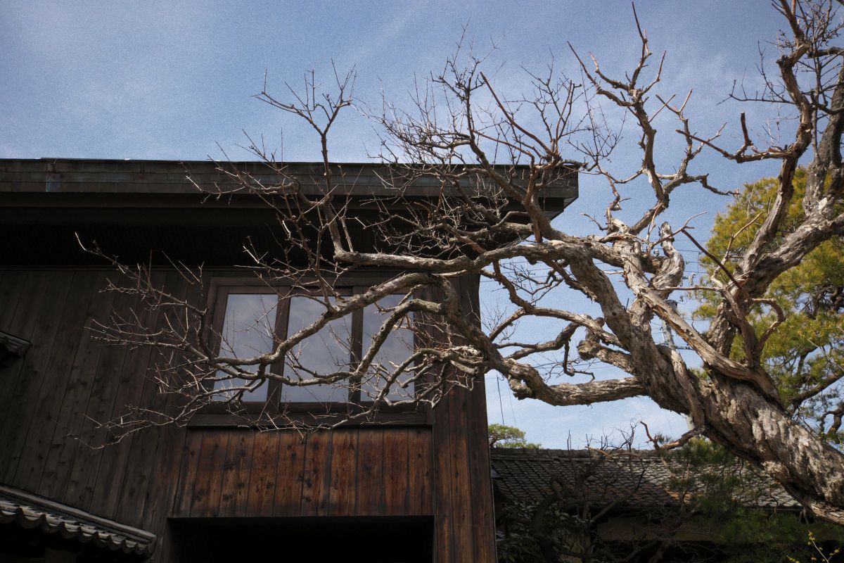 小布施堂 V | GANREF