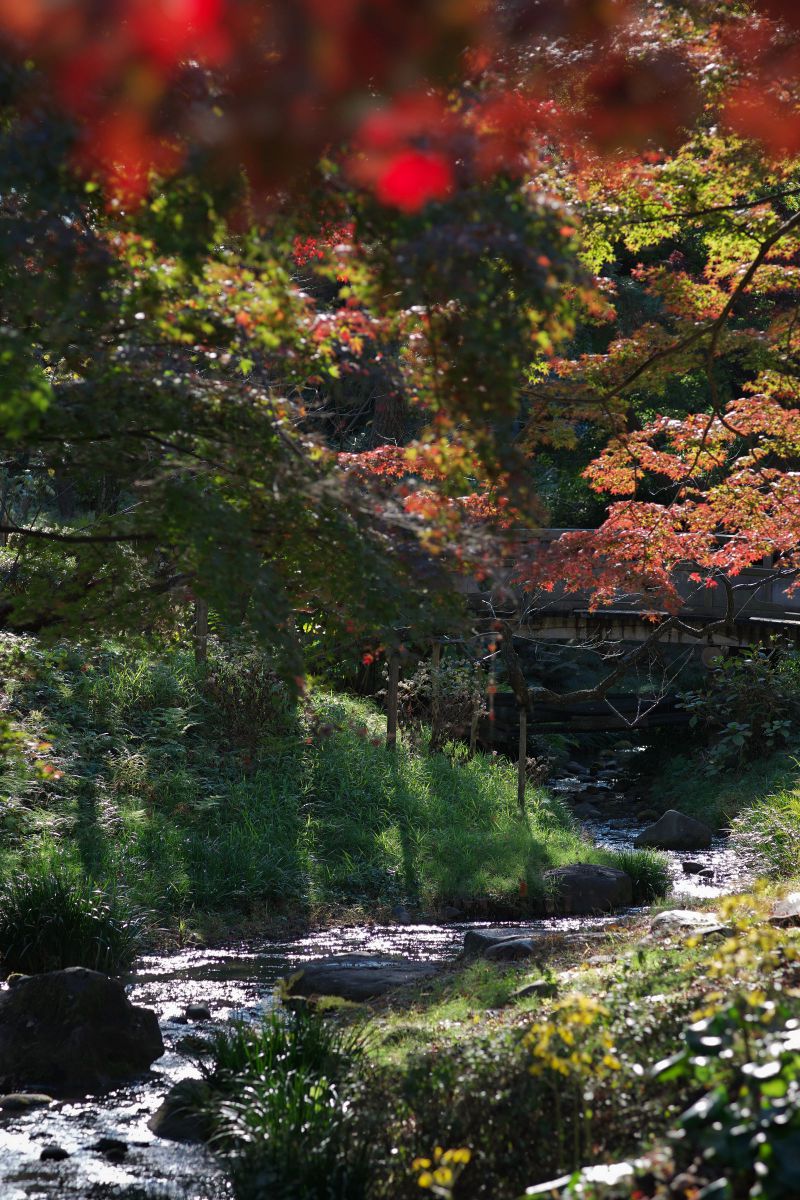 三溪園 晩秋 15 | GANREF