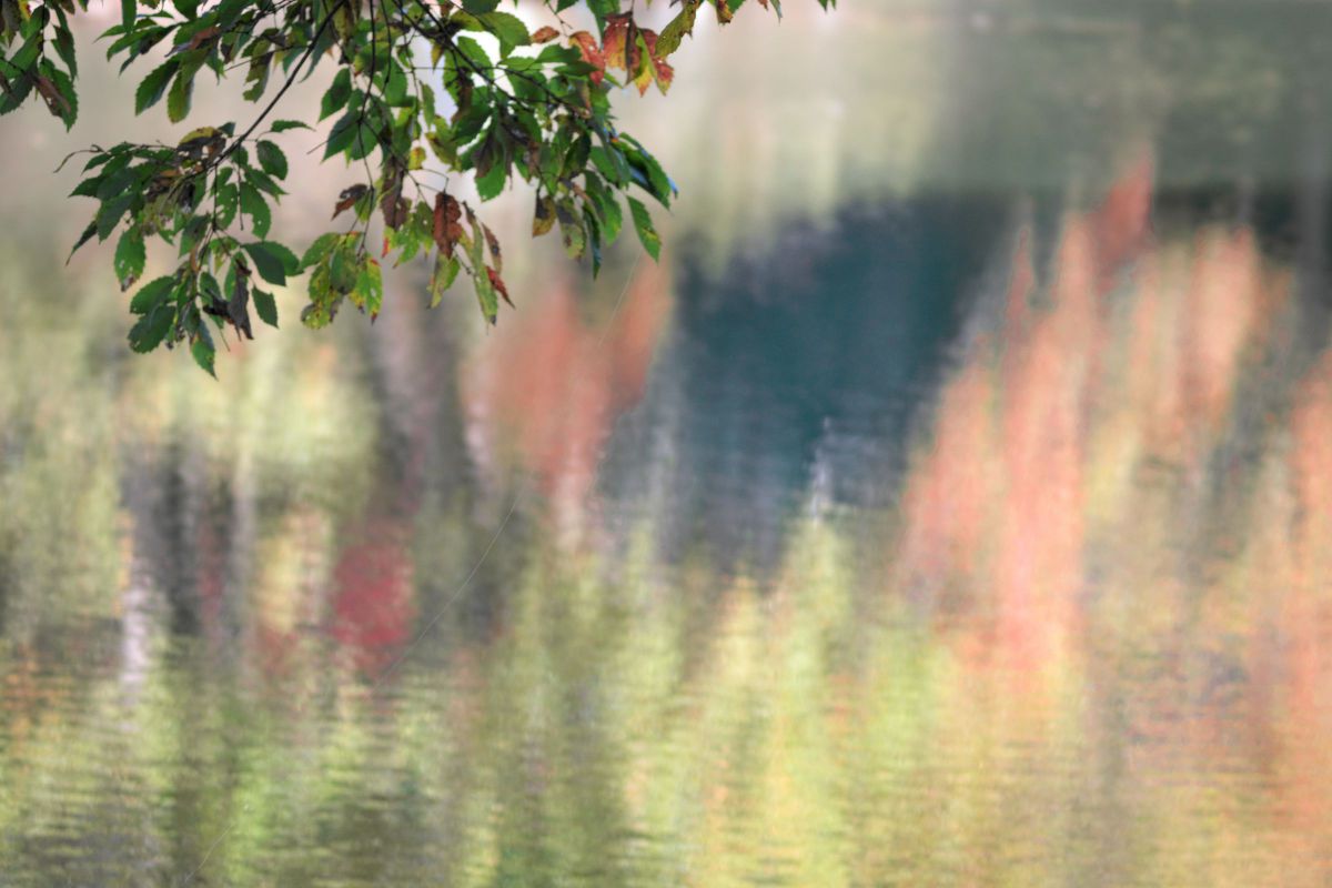 震生湖 紅葉 09 | GANREF