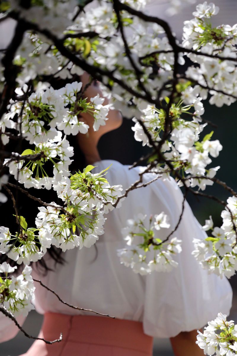 Spring angel | GANREF