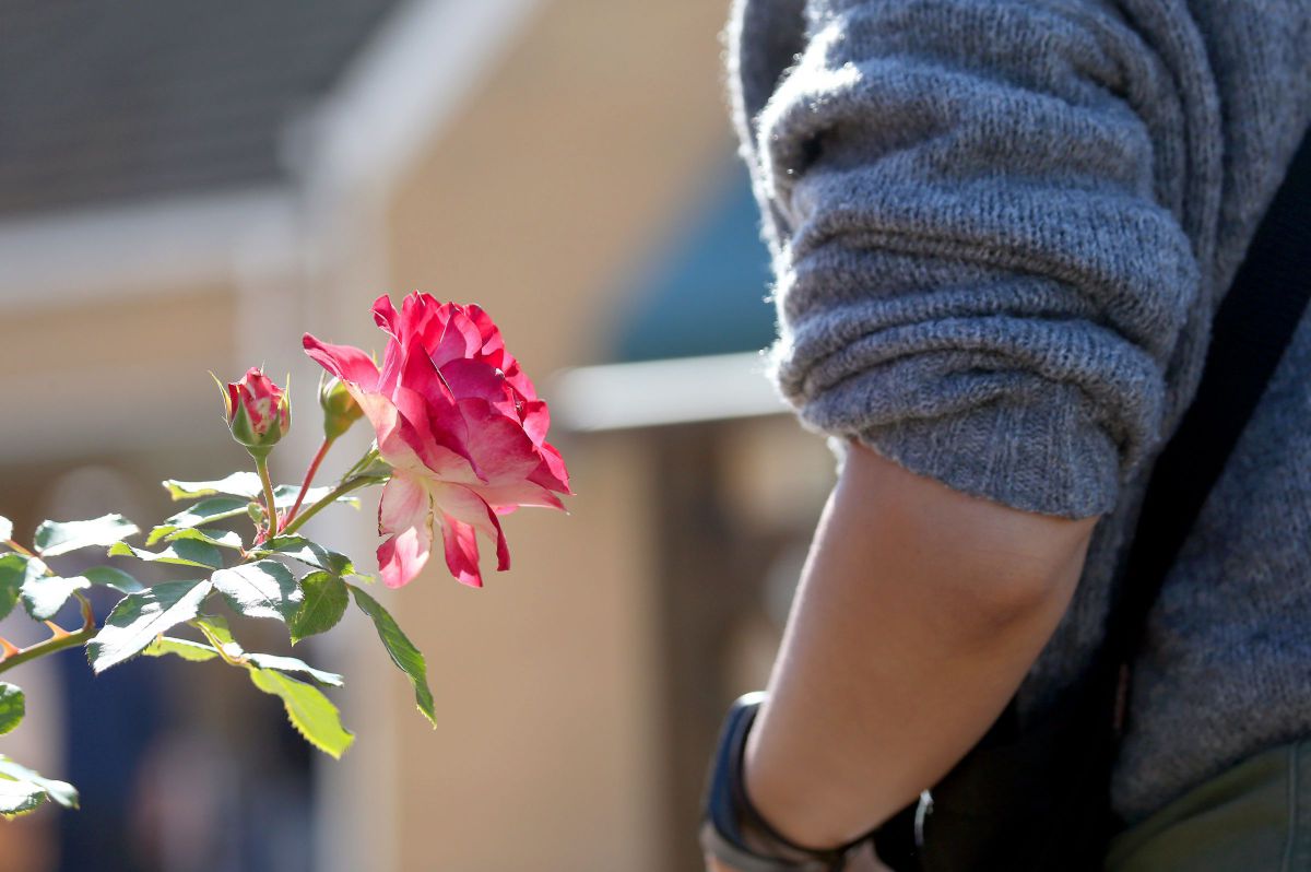 Conversation | GANREF