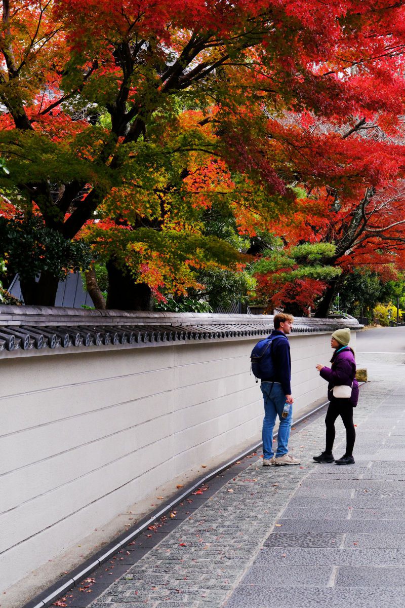 静かな通り | GANREF