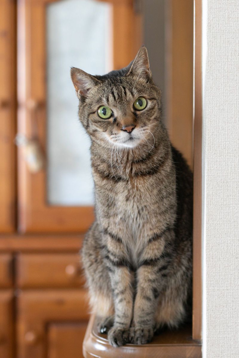 なにして遊ぶ？ | GANREF