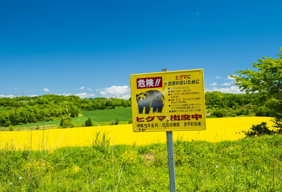 Danger！！ | GANREF